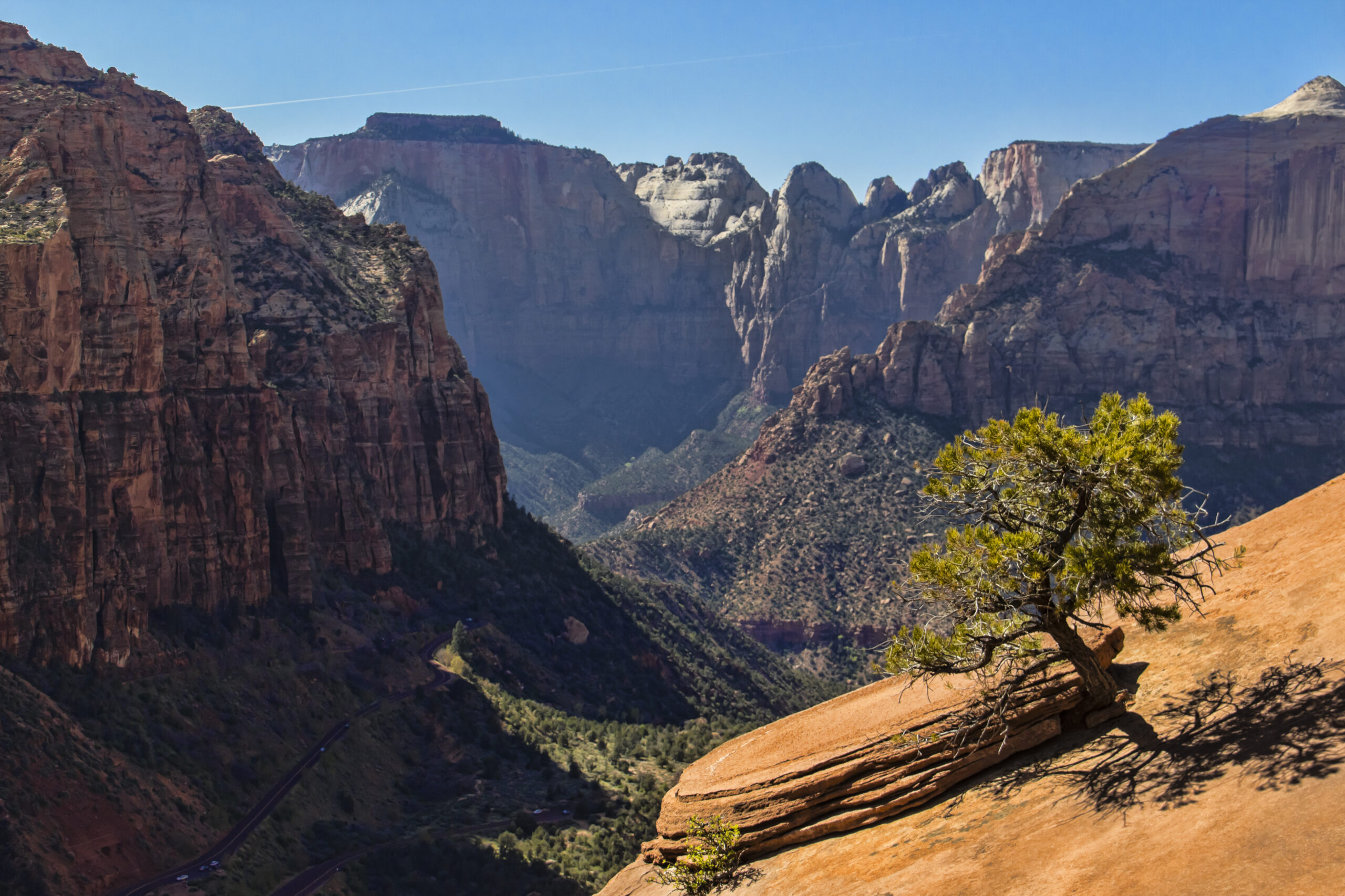 Canyon Overlook - ZionNationalPark.com